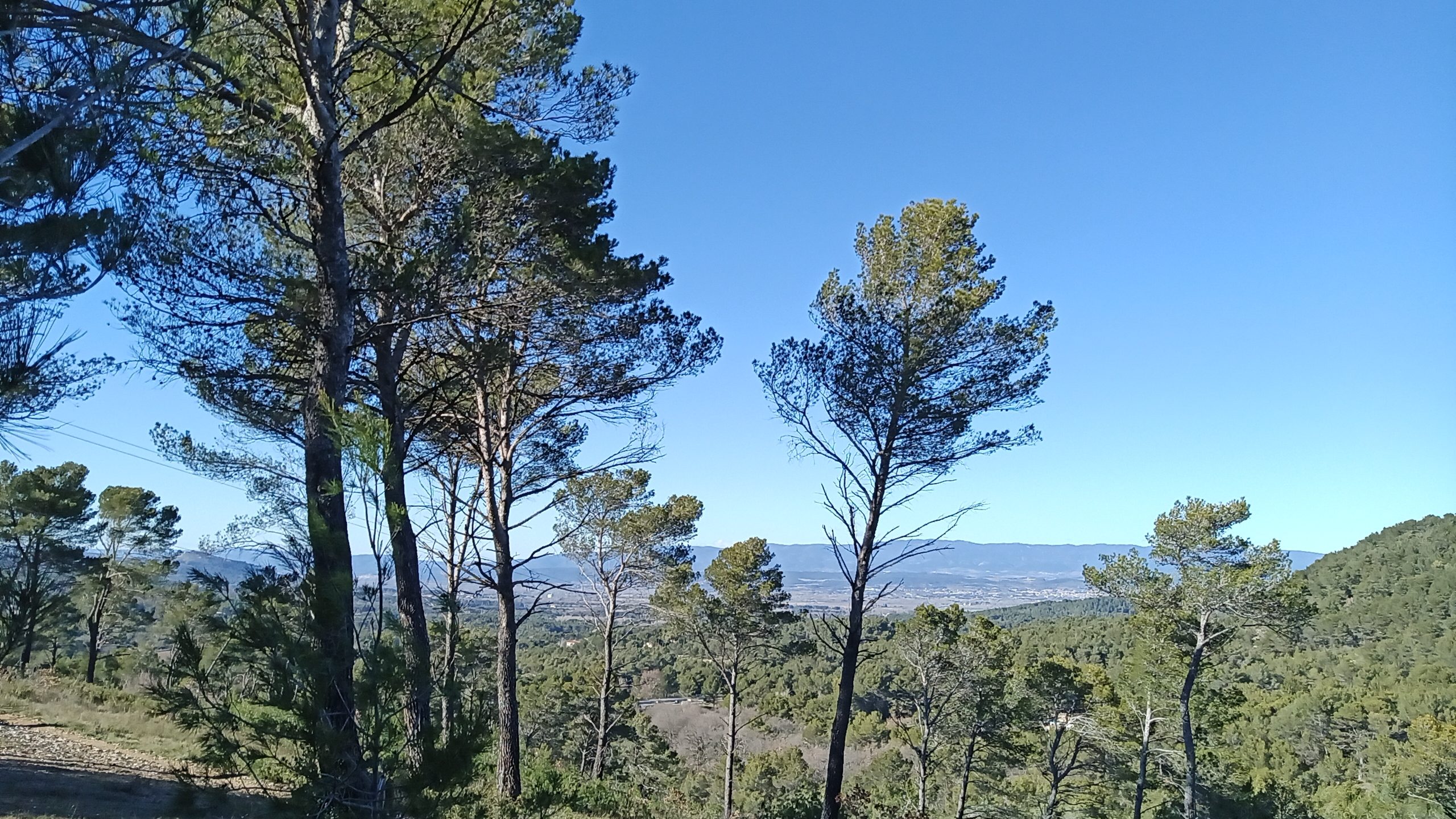 Promenades et randonnées - Ville de Venelles